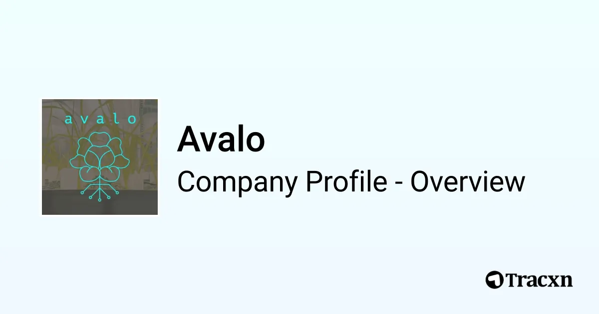Avalo - 2026 Company Profile, Team, Funding & Competitors - Tracxn