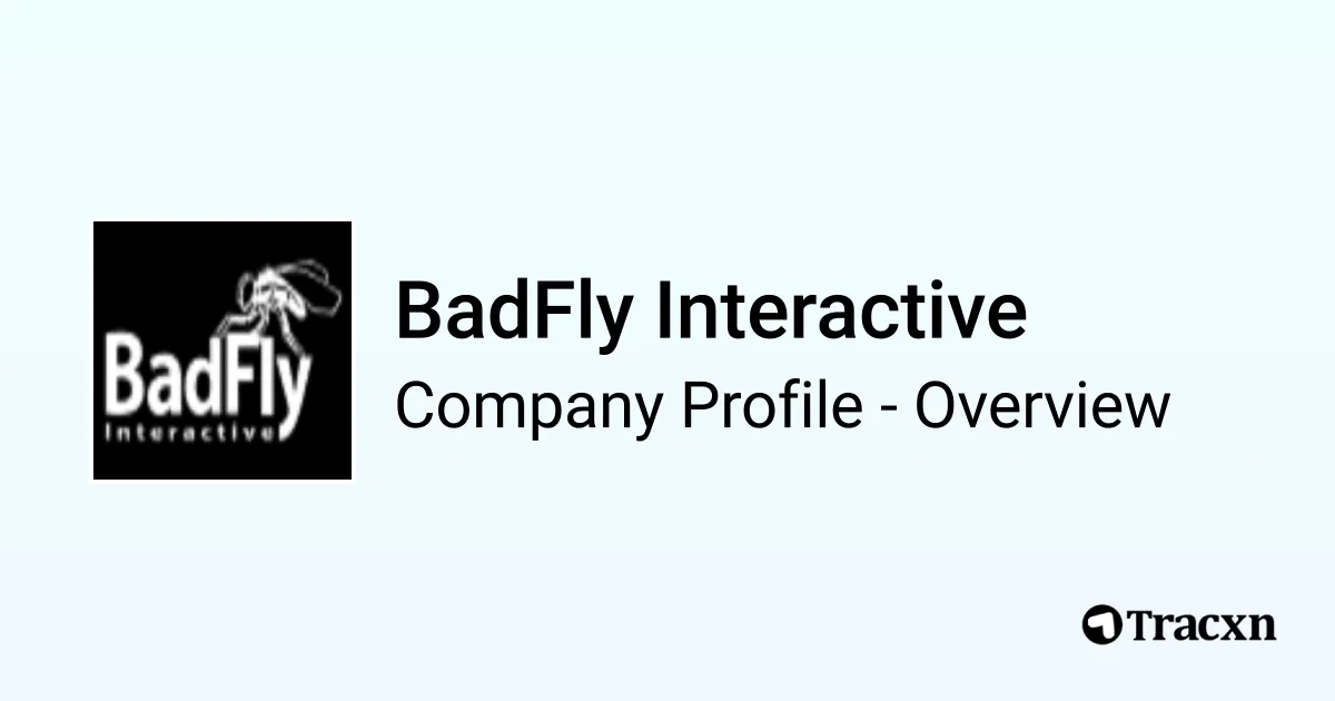 BadFly Interactive - 2025 Company Profile, Team & Competitors - Tracxn