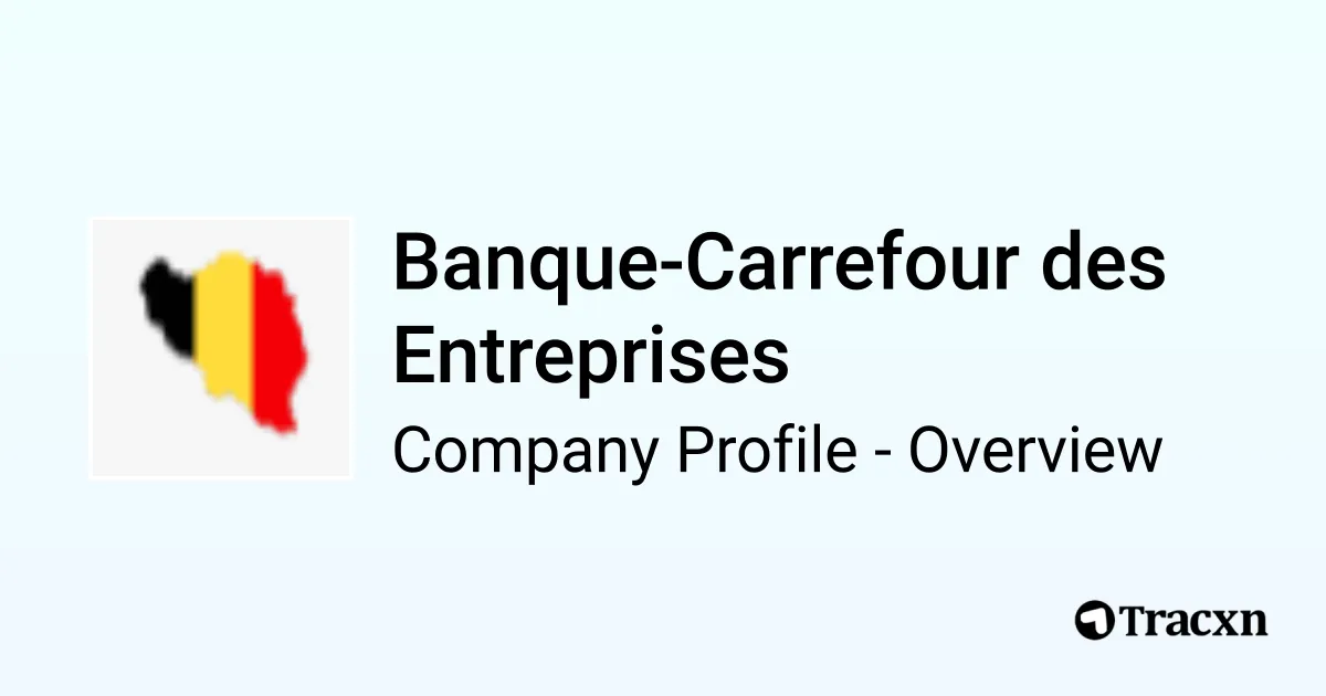 Banque-Carrefour des Entreprises - 2026 Company Profile & Competitors ...