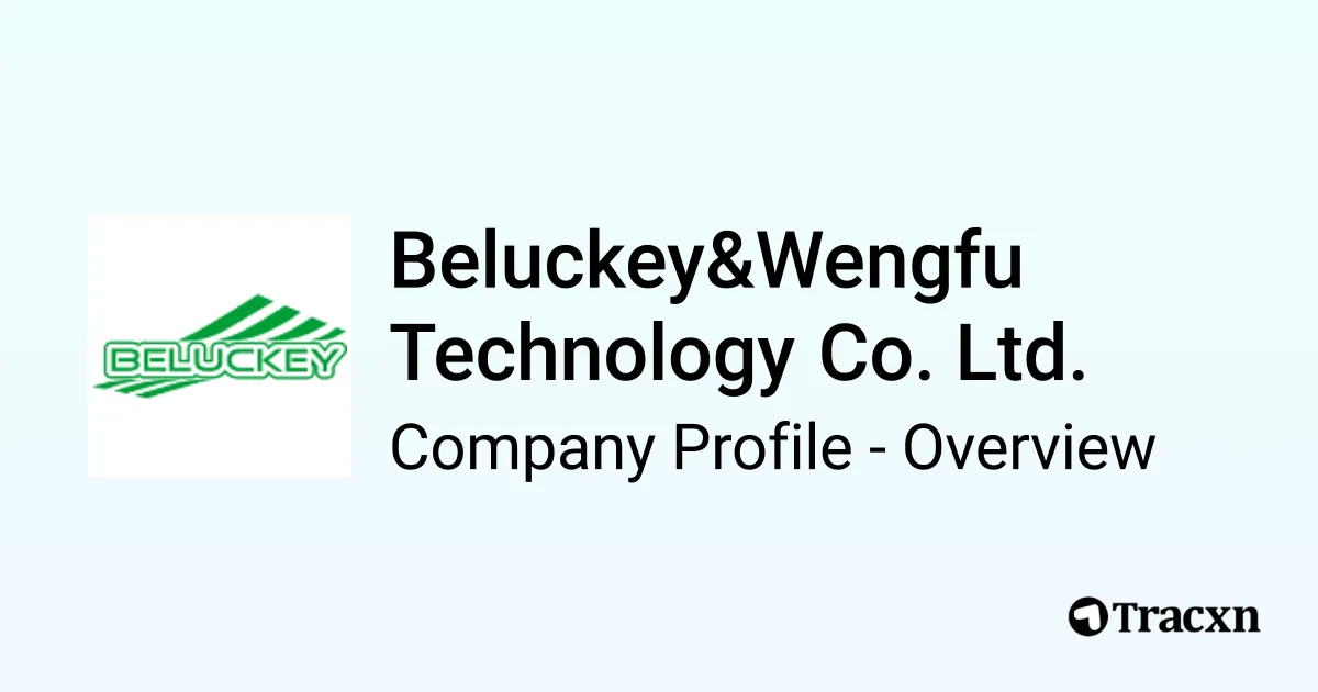 Beluckey&Wengfu Technology Co. Ltd. - 2025 Company Profile ...