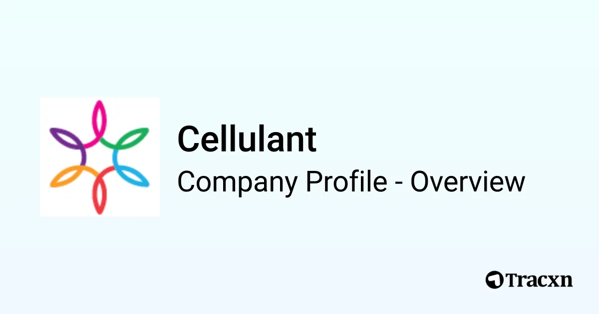 Cellulant - 2026 Company Profile, Team, Funding & Competitors - Tracxn