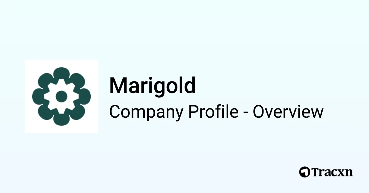 Marigold - 2026 Company Profile, Team, Funding & Competitors - Tracxn