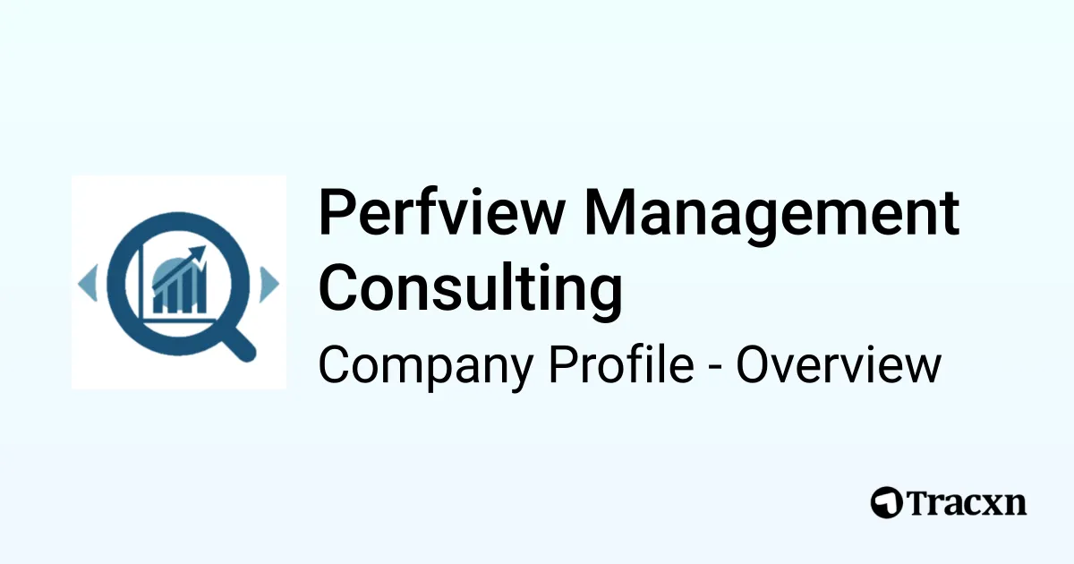 Perfview Management Consulting - 2025 Company Profile, Team ...
