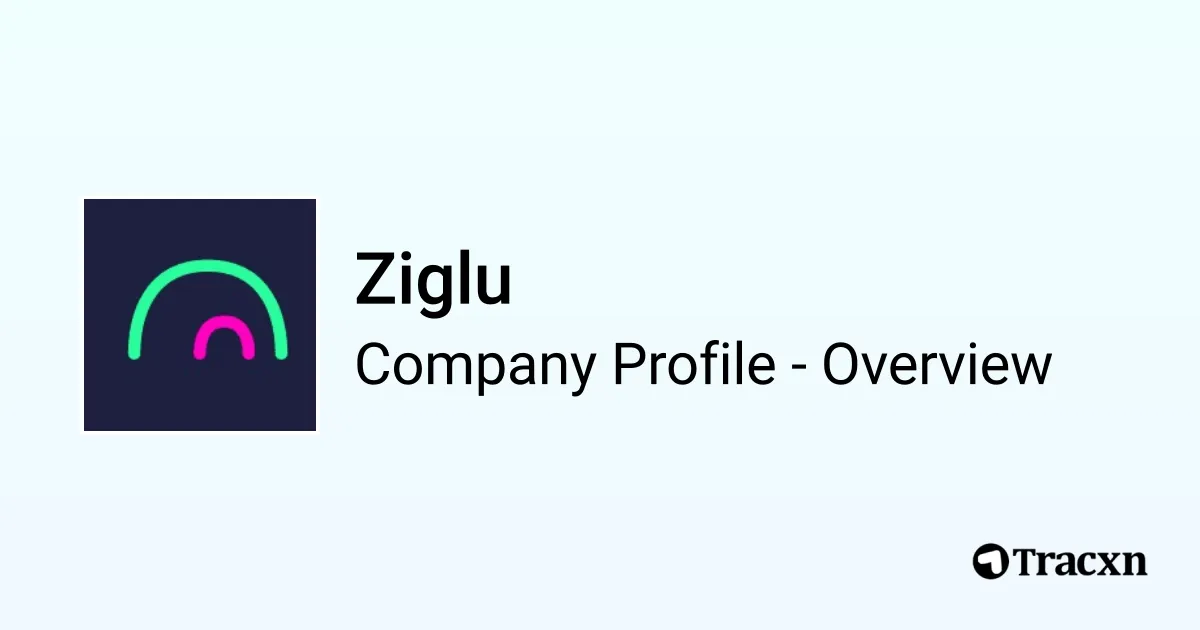 Ziglu - 2025 Company Profile, Team, Funding, Competitors & Financials ...