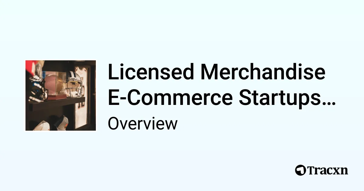 Licensed Merchandise E-Commerce in Delhi NCR, India - 2025 Market ...