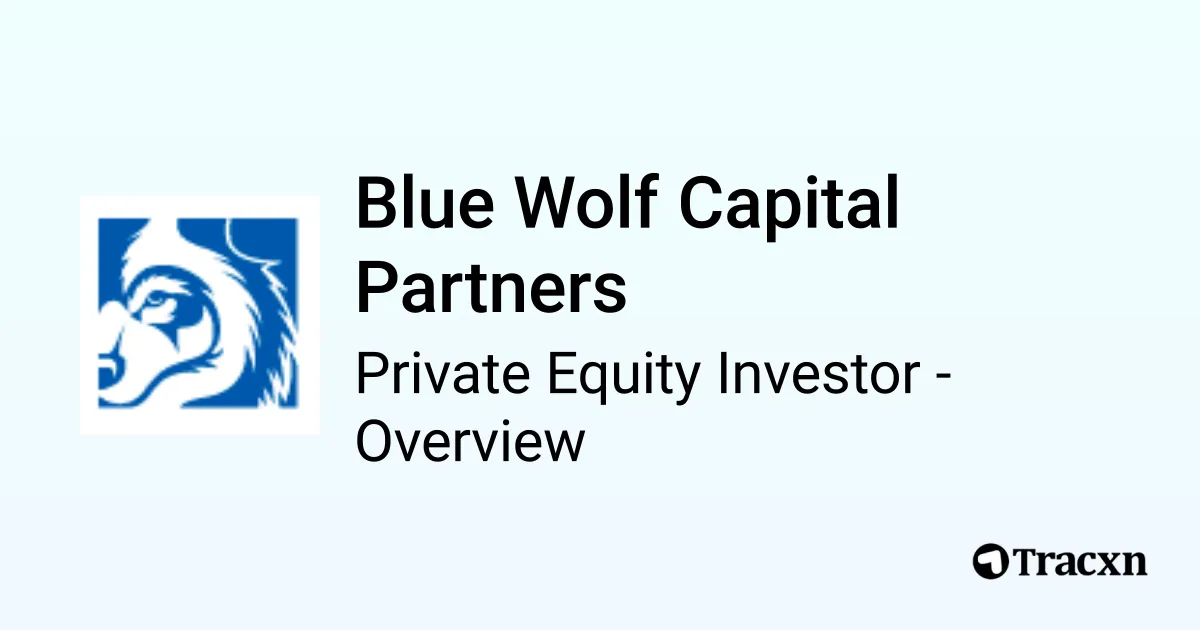 Blue Wolf Capital Partners - 2025 Investor Profile, Portfolio, Team ...