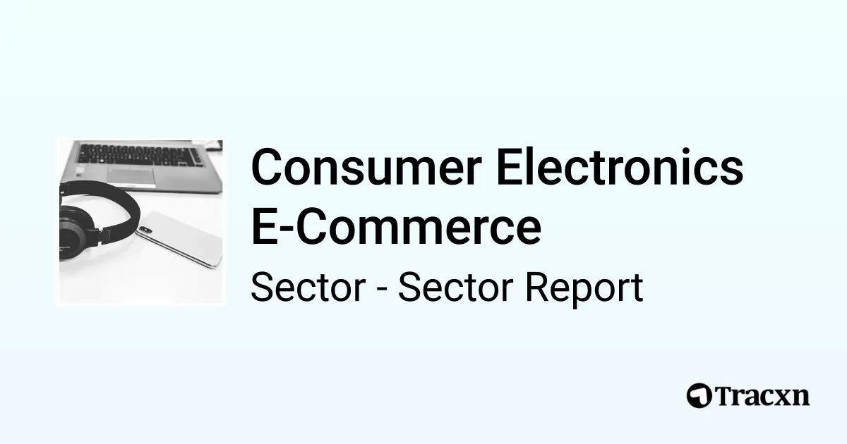 Consumer Electronics E-Commerce Sector Report - Market & Investment ...