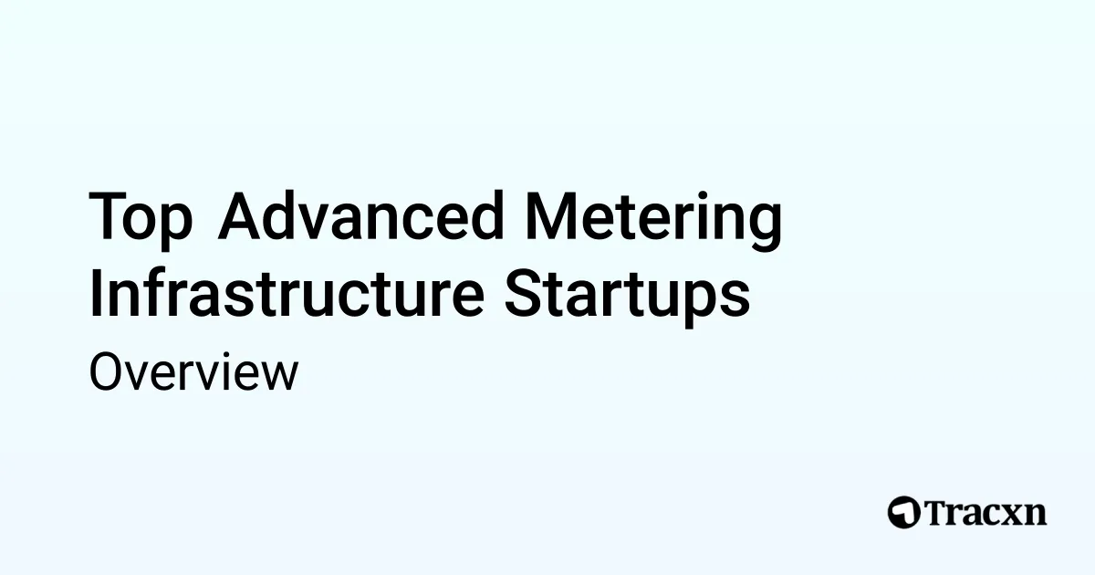 Advanced Metering Infrastructure - 2025 Market & Investments Trends ...